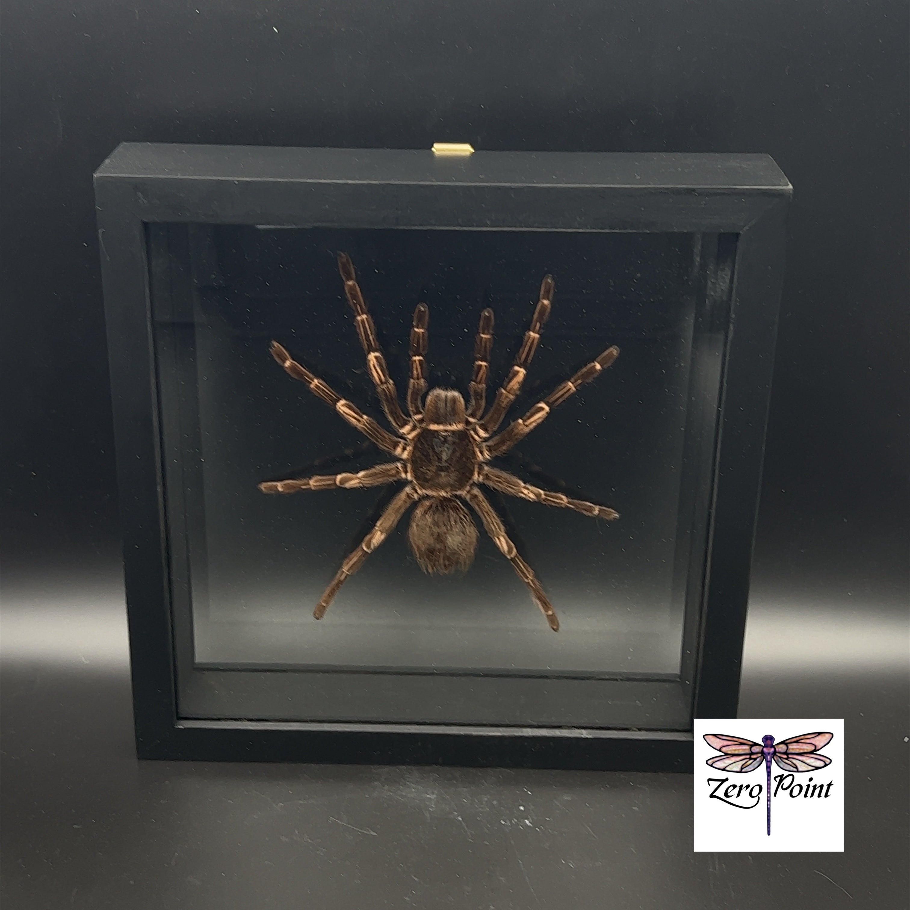 Tarantula– Zero Point Crystals